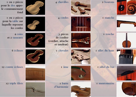 Pièces des instruments de la famille du violon - AG Violins